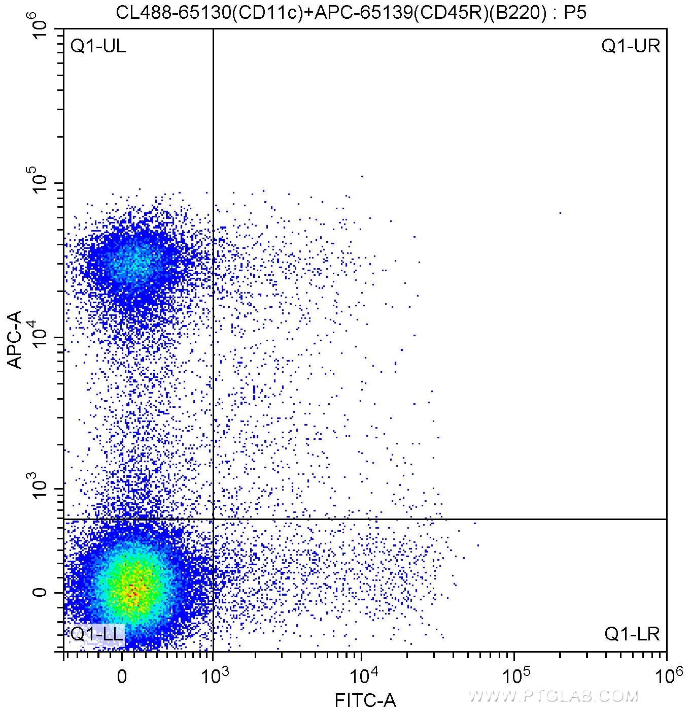 CD11c antibody (CL488-65130) | Proteintech