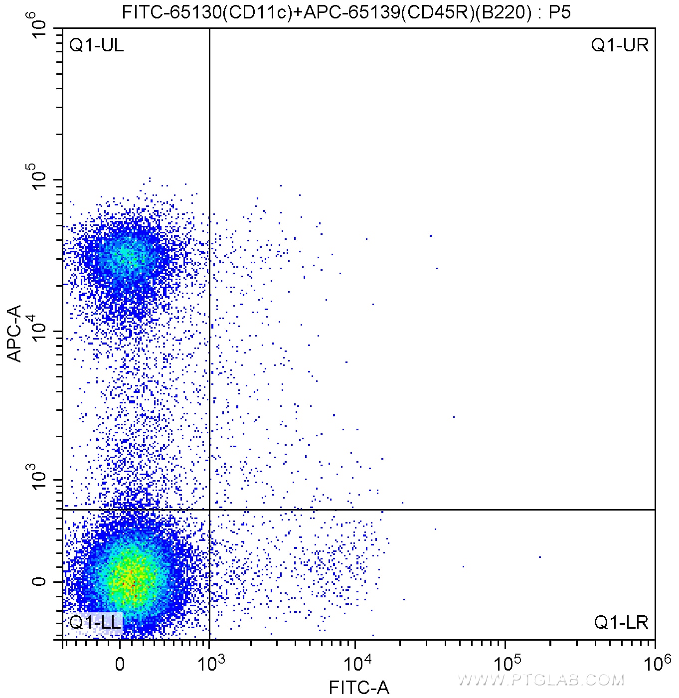 FITC CD11c Armenian Hamster Monoclonal antibody - United Bio Research