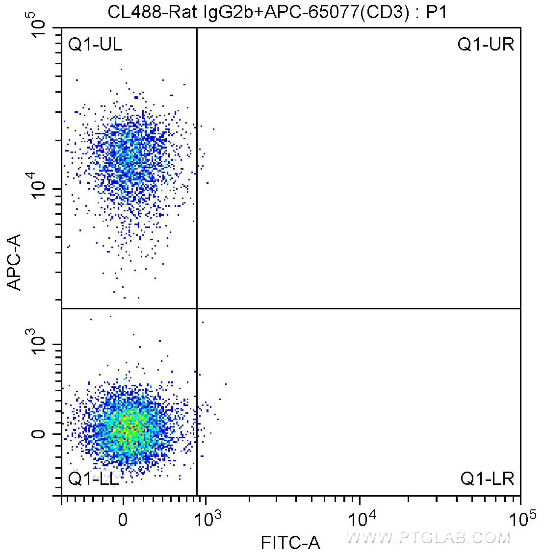 CD16 / CD32 Antibody CL488-65080 | Proteintech