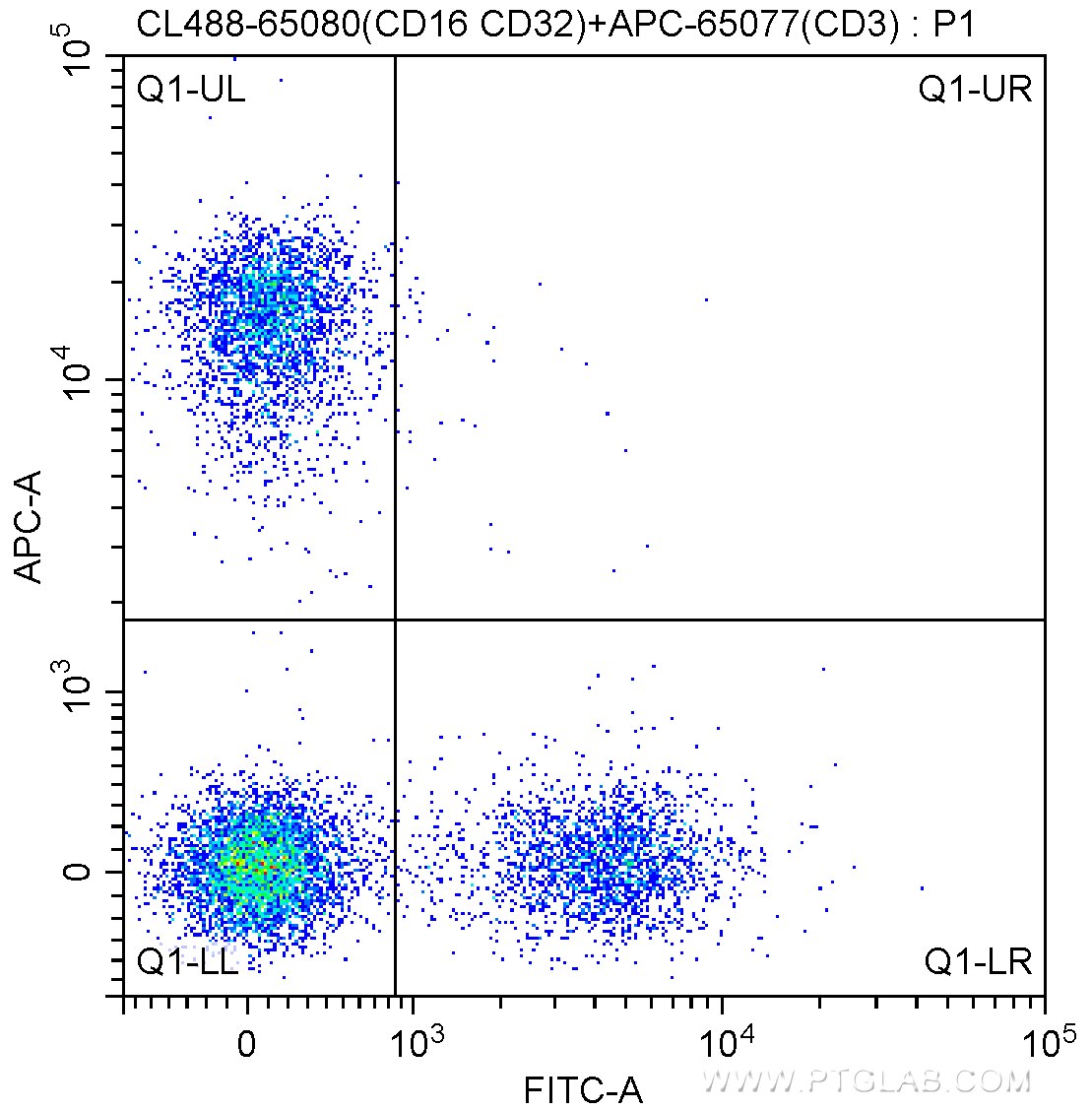 CD16 / CD32 Antibody CL488-65080 | Proteintech
