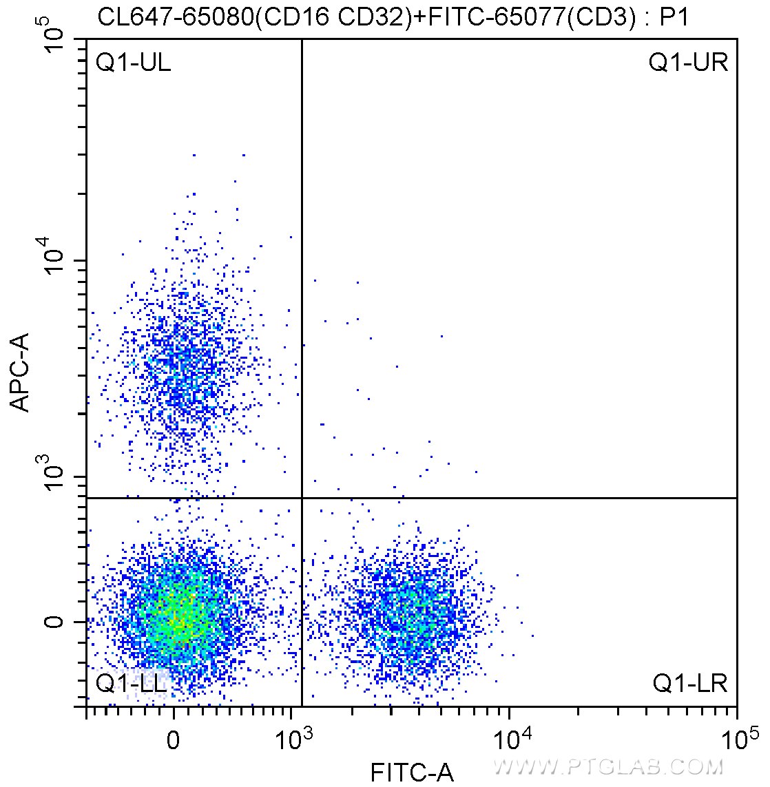 CD16 / CD32 Antibody CL647-65080 | Proteintech