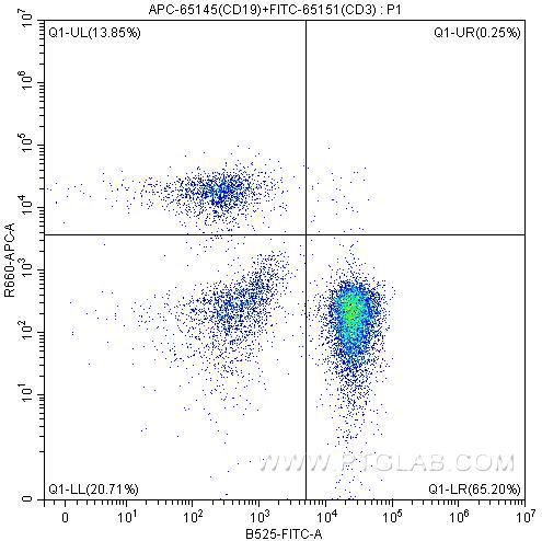 CD19 Antibody APC-65145 | Proteintech