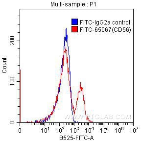 NCAM1/CD56 antibody (FITC-65067) | Proteintech