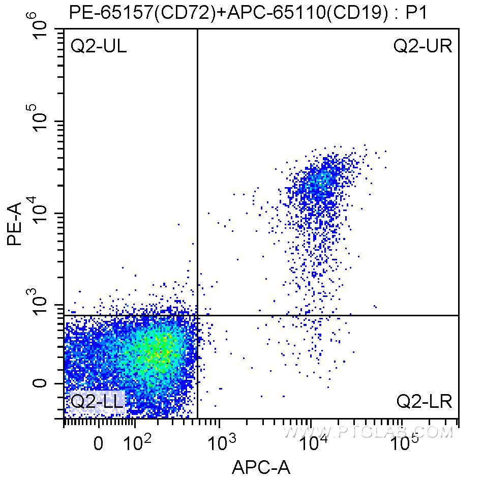 CD72 antibody (PE-65157) | Proteintech