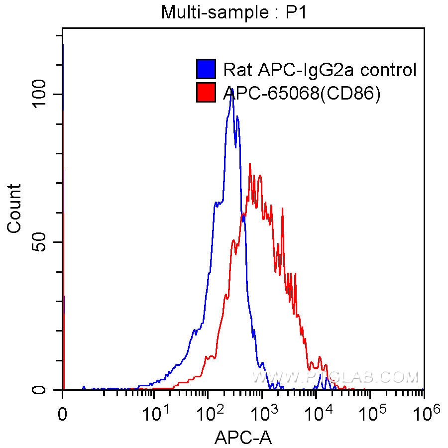 CD86 Antibody APC-65068 | Proteintech