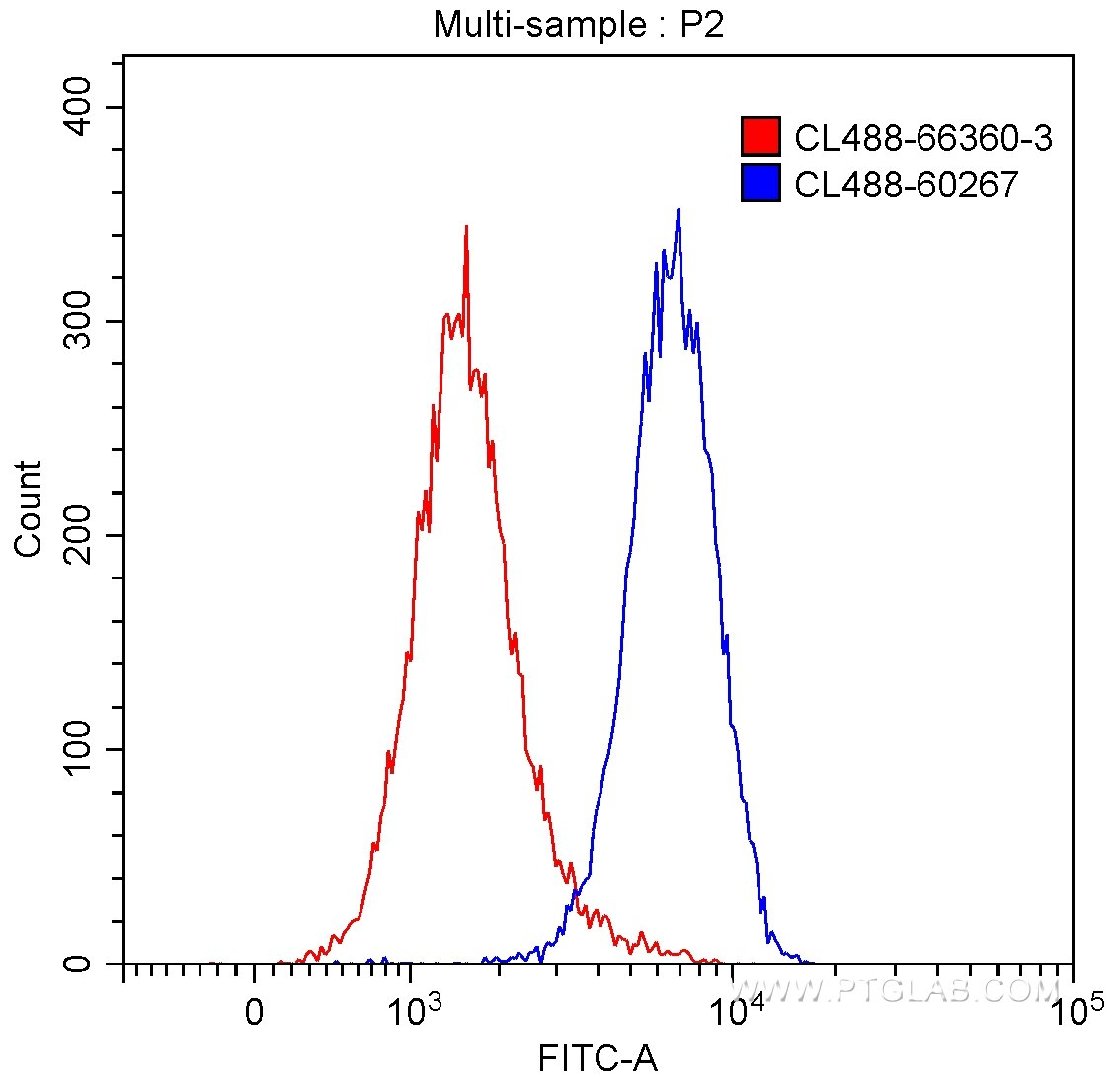 Mouse IgG2b isotype control Antibody CL488-66360-3 | Proteintech