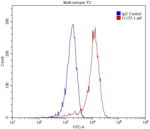 OGFR antibody (11177-1-AP) | Proteintech