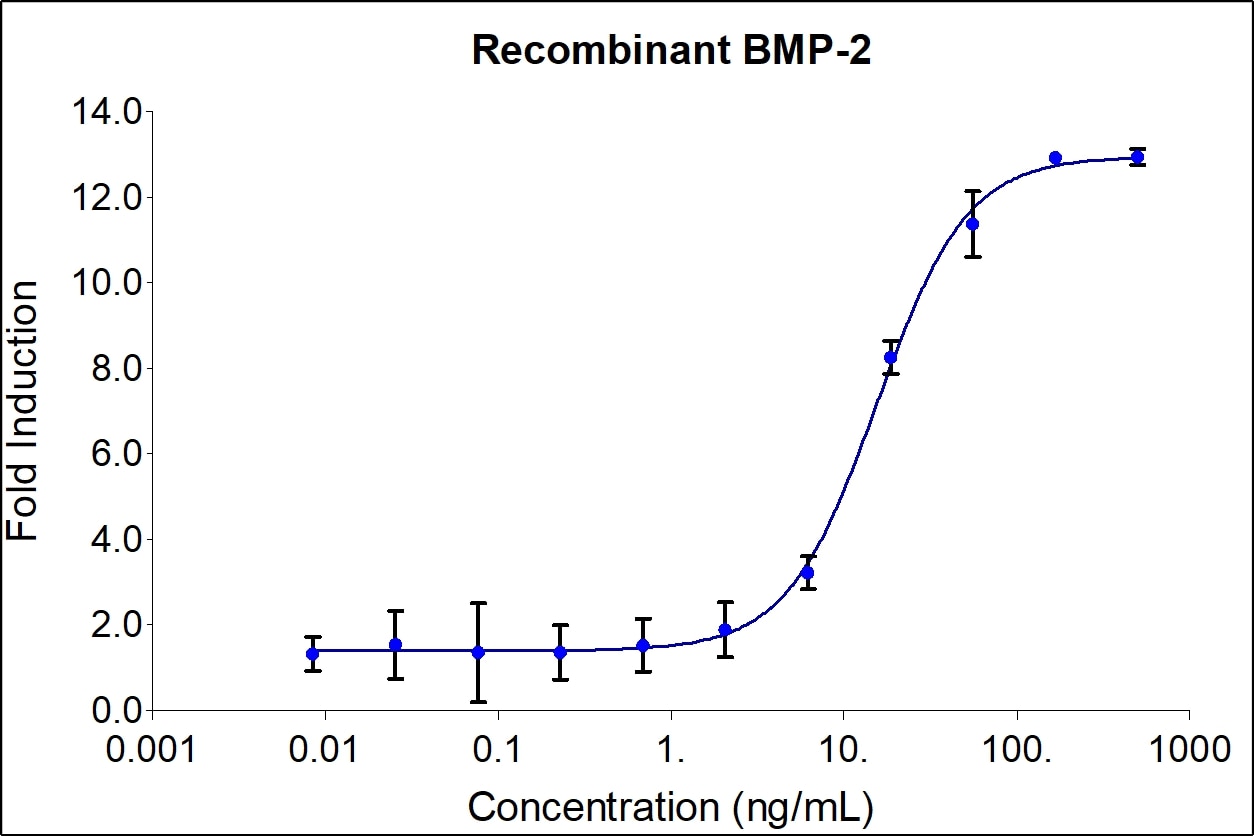 Humankine BMP-2 recombinant protein: endotoxin free, human cell ...