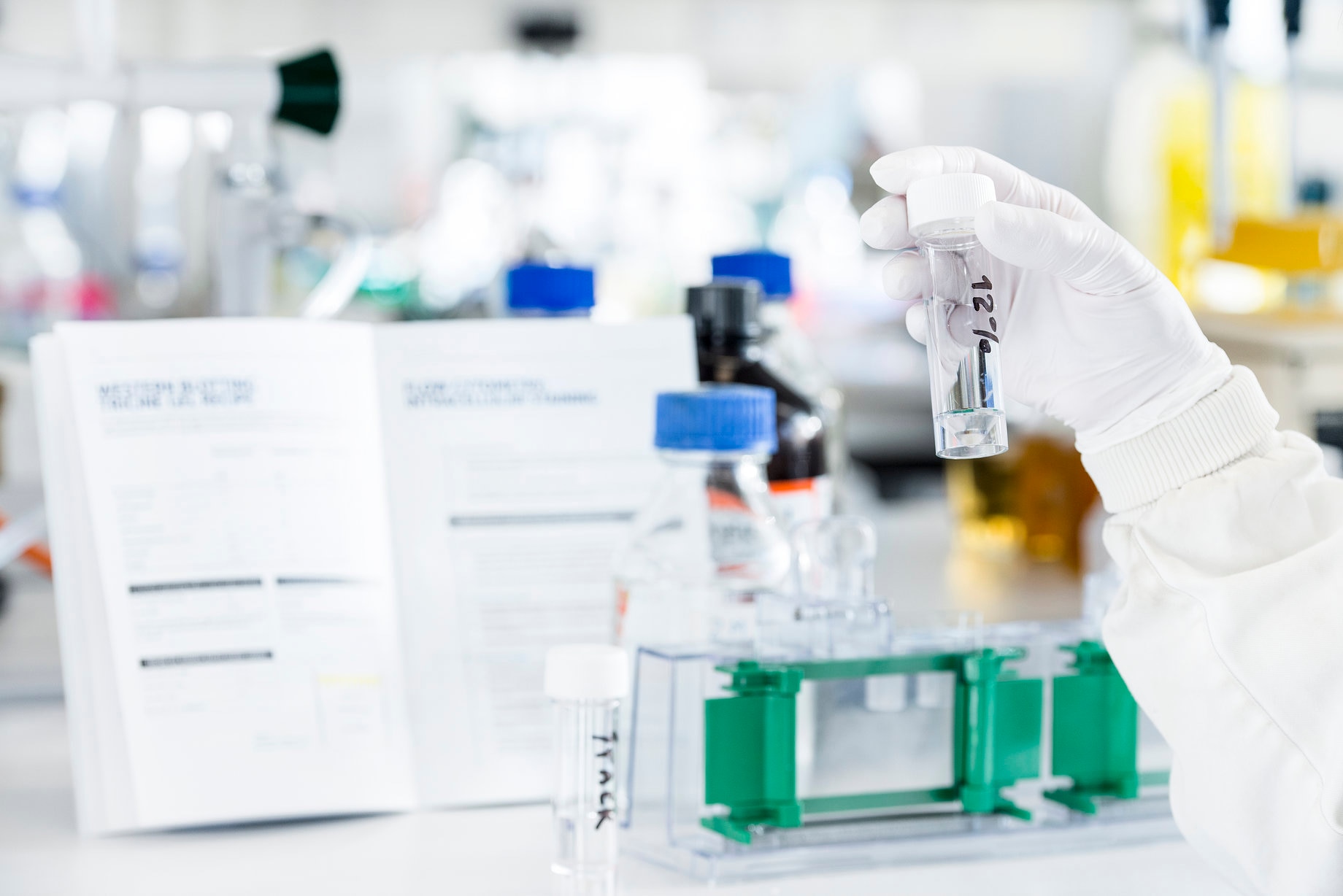 Experimental protocol to study cell viability and apoptosis ...