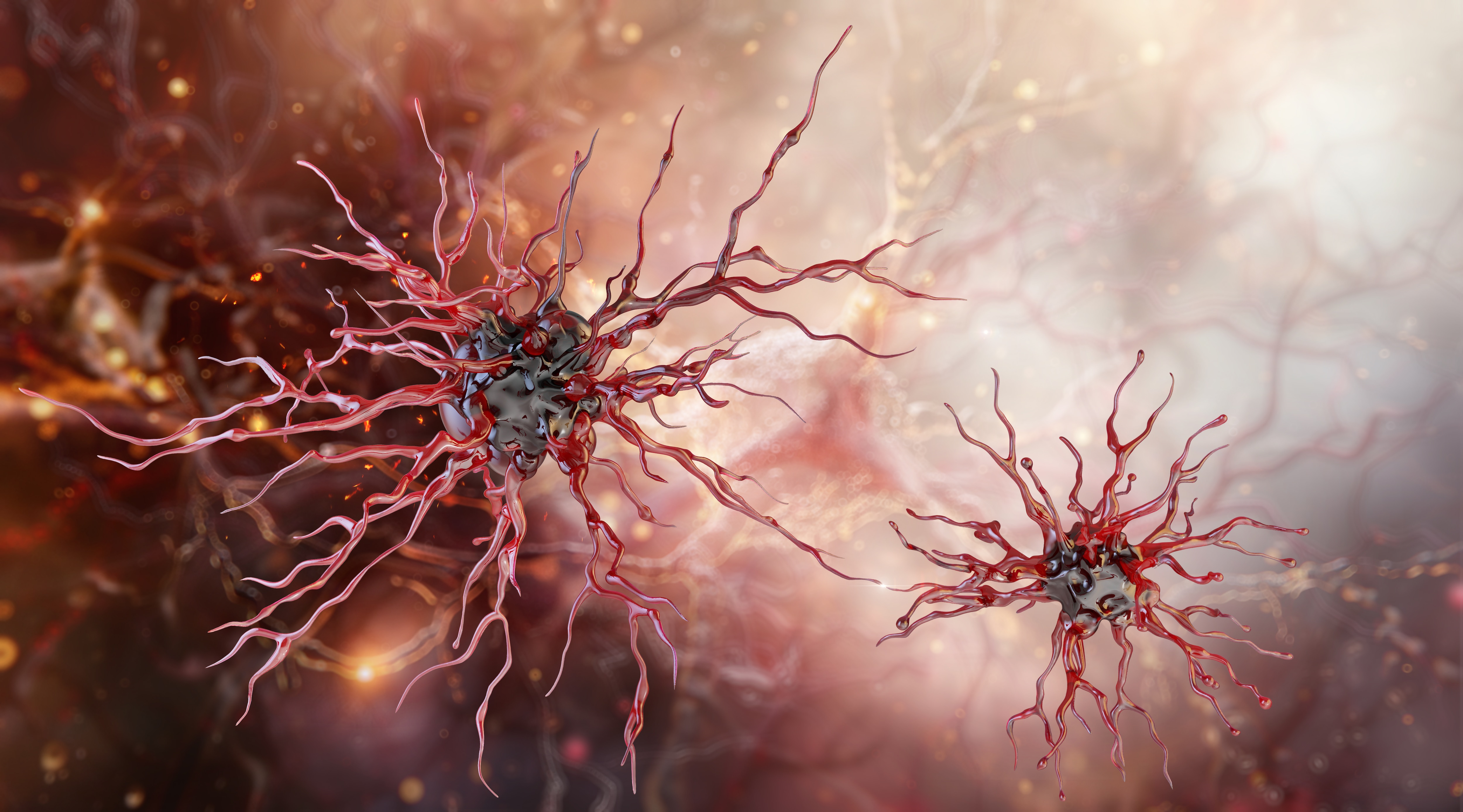 A Practical Guide for Dendritic Cell Identification by Flow Cytometry ...
