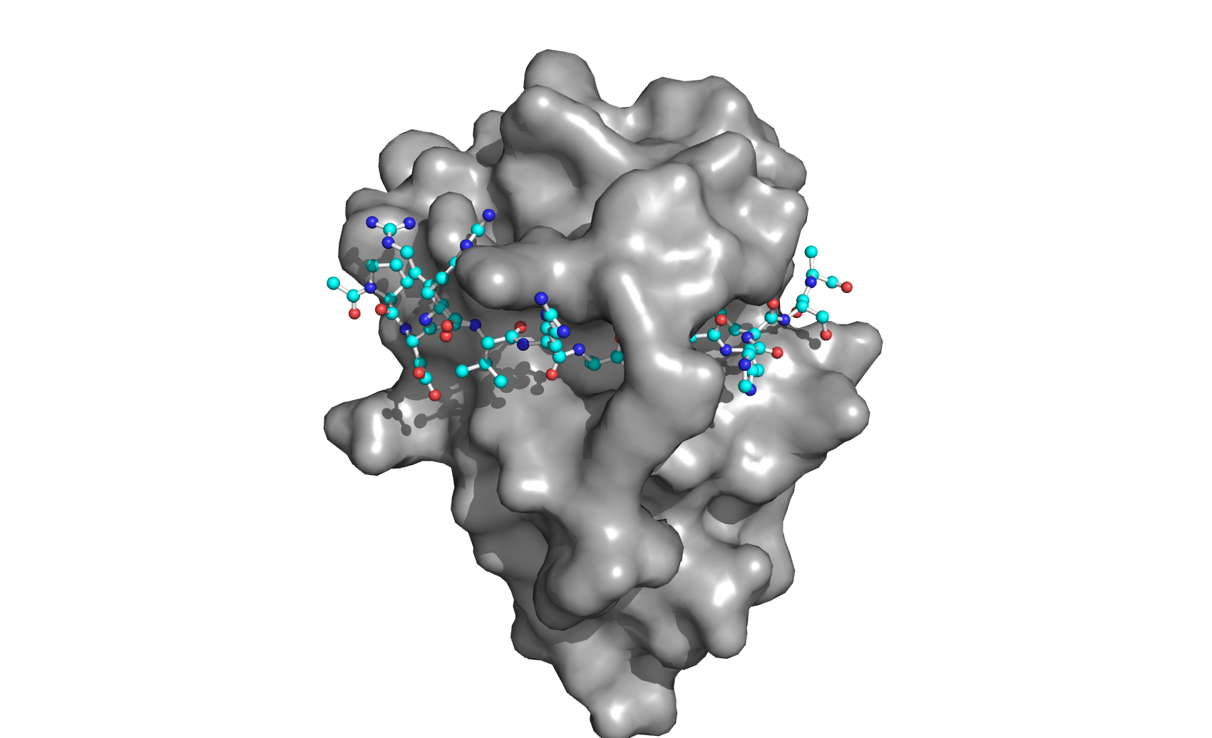 Why are recombinant Nanobodies/ VHHs beneficial? | Proteintech Group