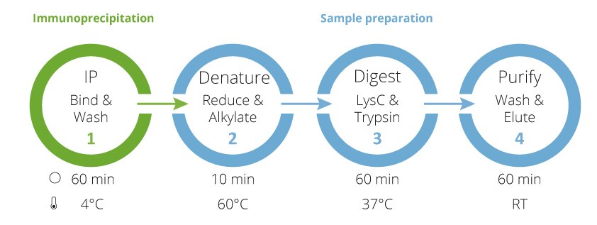Mass spec-compatible immunoprecipiation for GFP, mNeonGreen, Myc, RFP ...