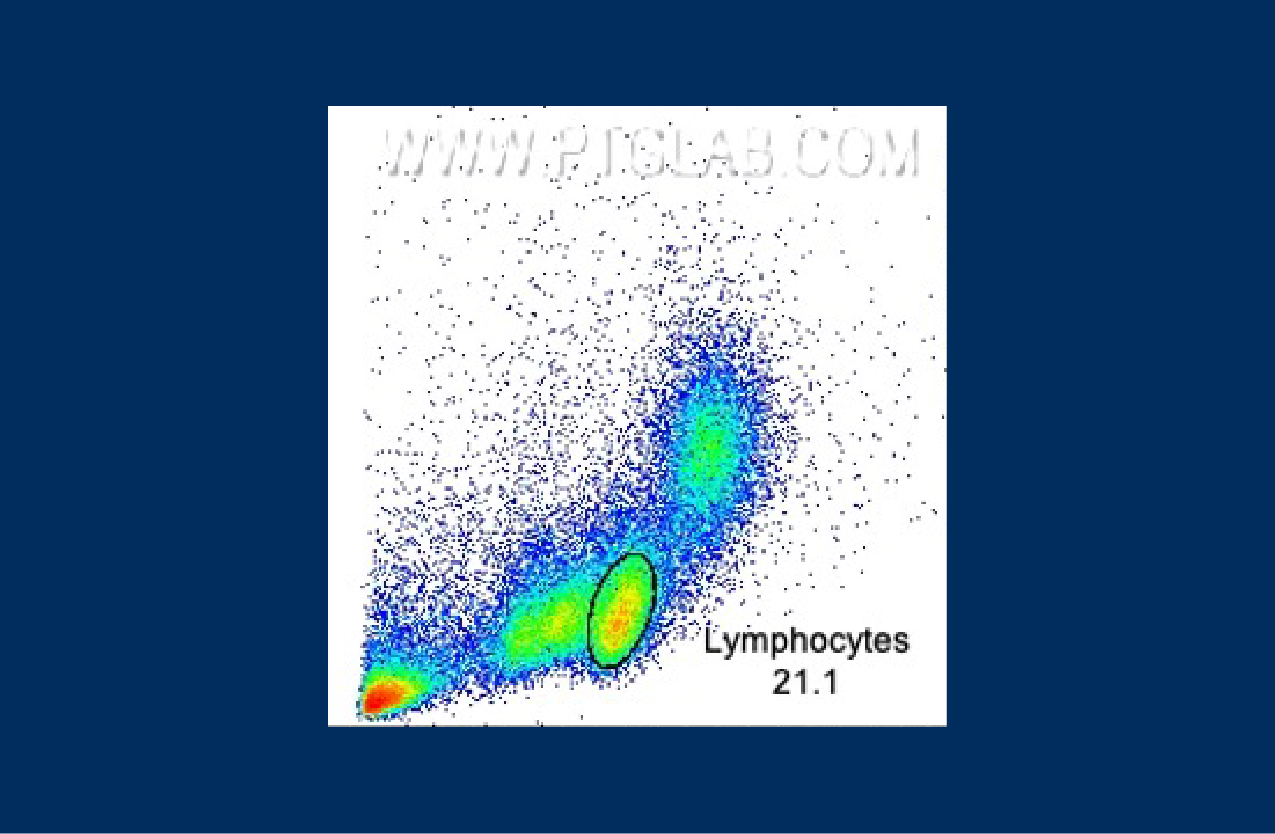 Flow Cytometry Gating for Beginners | Proteintech Group Flow Cytometry Gating for Beginners | Proteintech Group