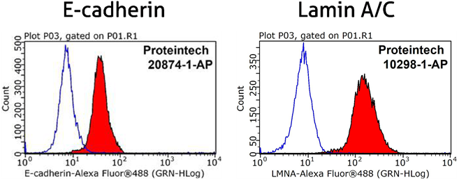 Fluorophores and dyes | Proteintech Group