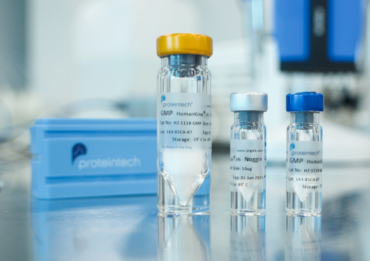 What do you get when you buy a GMP-grade product? | Proteintech Group