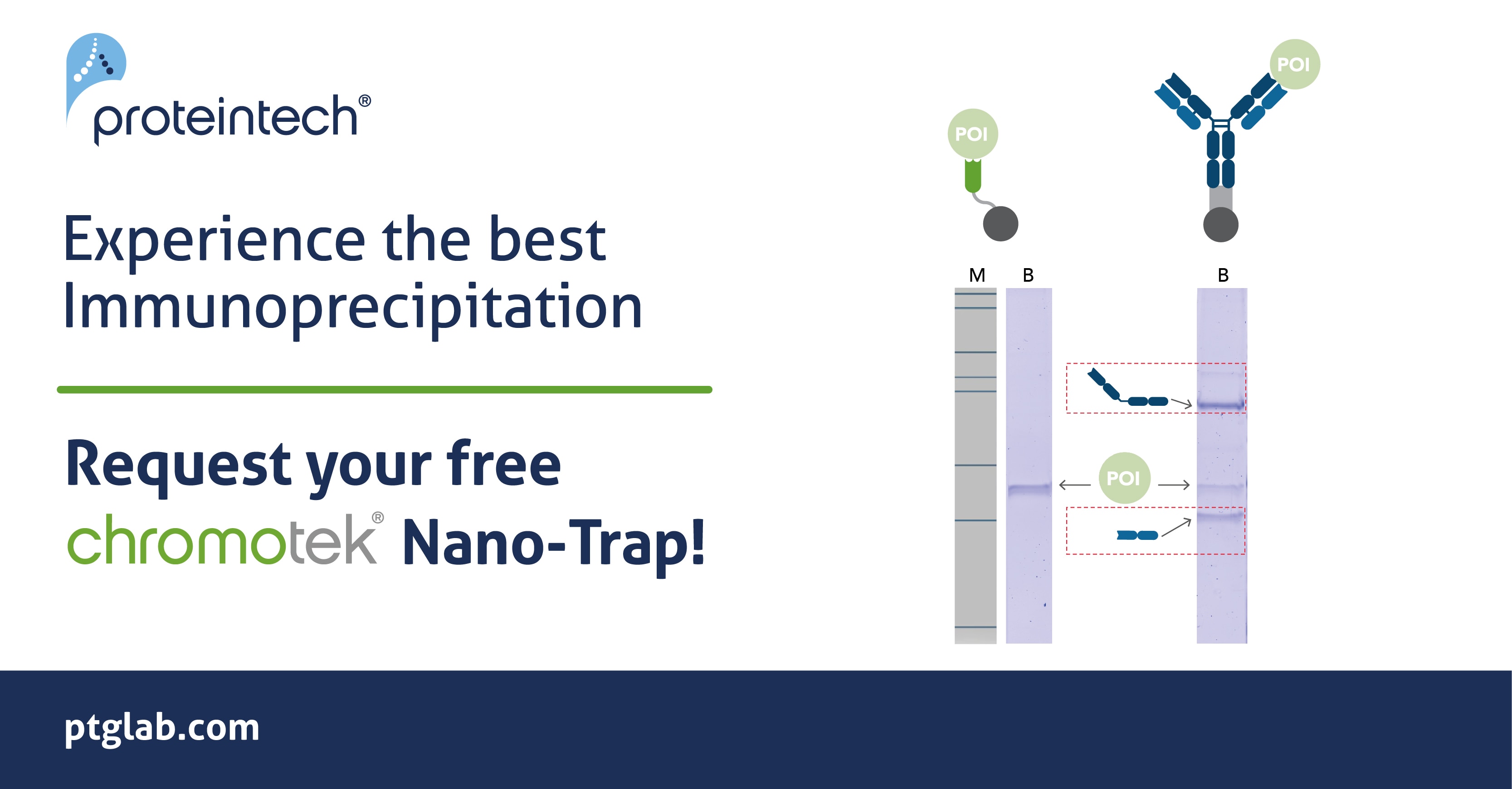 Nano-Trap test sample