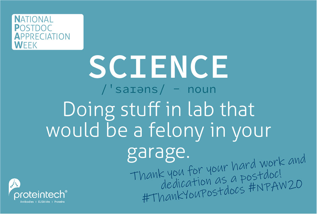 National Postdoc Appreciation Week | Proteintech Group