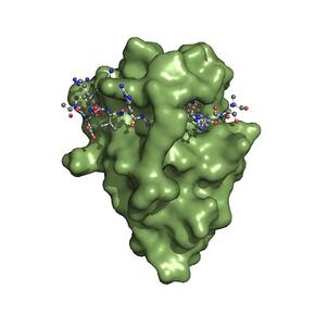 Overview of the most recent Spot Peptide-Tag & Spot-Nanobody publications | Proteintech Group