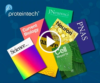 Celebrating 200,000 Product Citations | Proteintech Group
