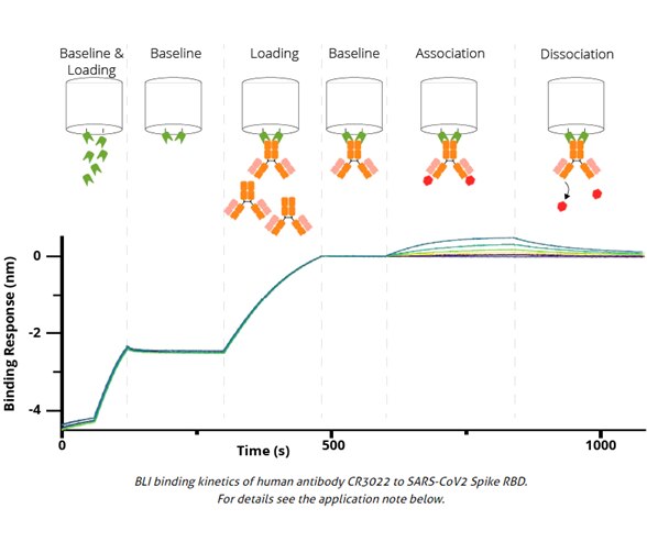 Revolutionizing Binding Assays with Nano-Capture Ligands and Alto ...