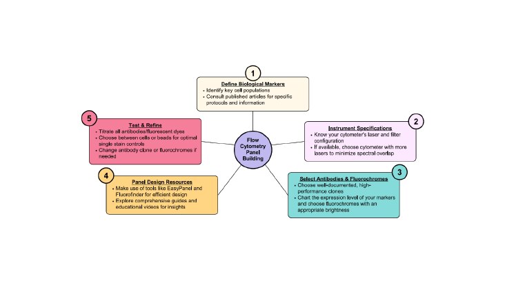 Guide to Flow Cytometry Panel Building | Proteintech Group