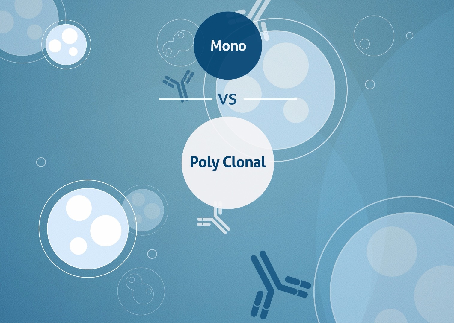 Polyclonal vs. monoclonal antibodies | Proteintech Group