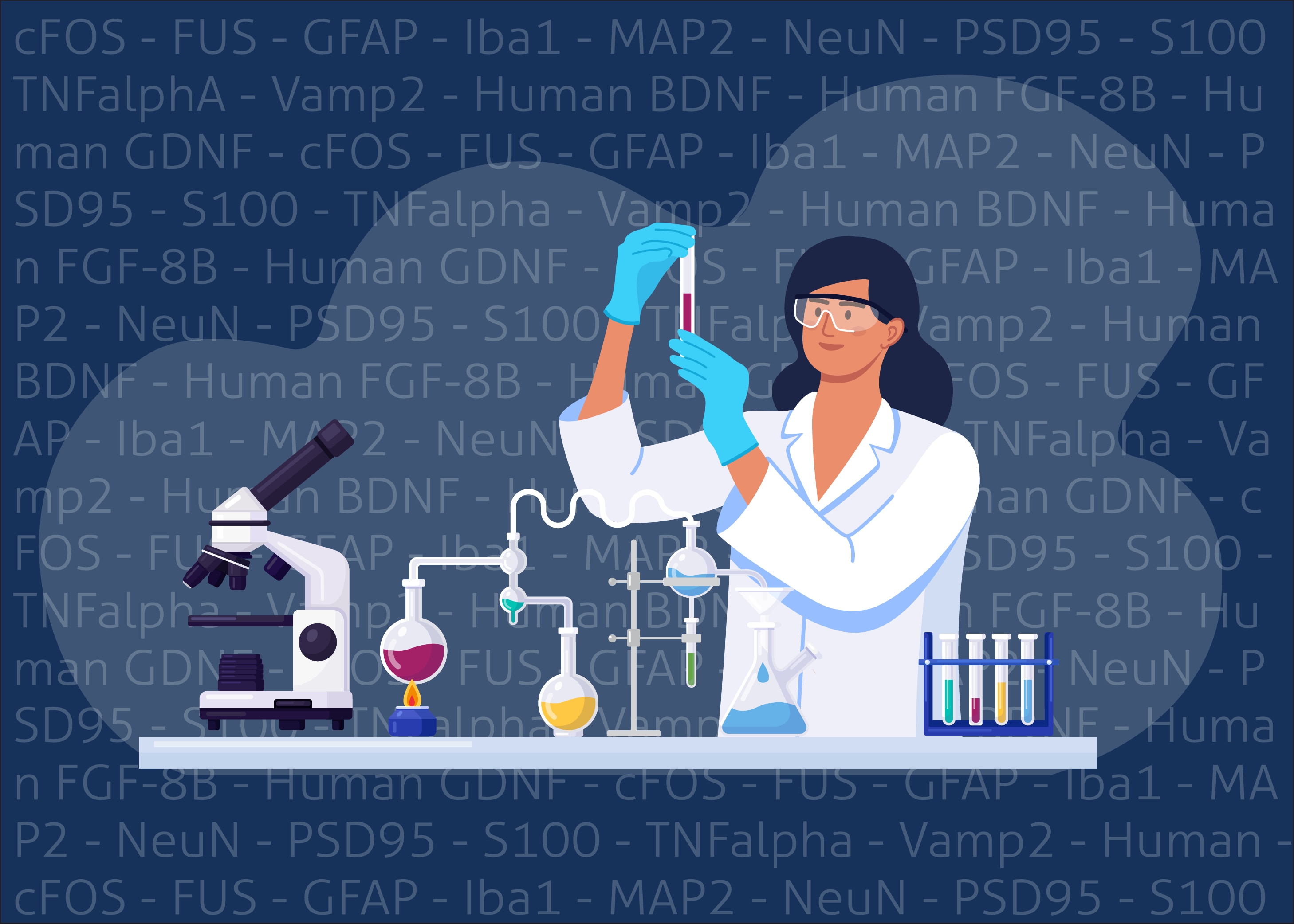 SfN Free Sample- Proteintech