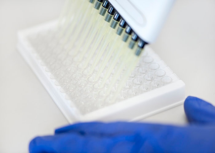 ELISA Video Protocol | Proteintech Group