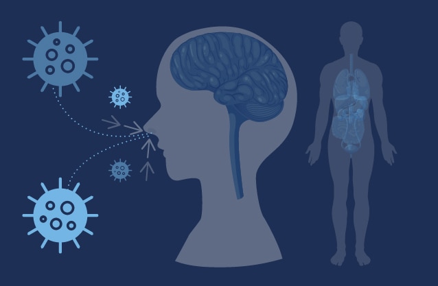 The multi-organ impact of COVID-19 | Proteintech Group The multi-organ impact of COVID-19 | Proteintech Group