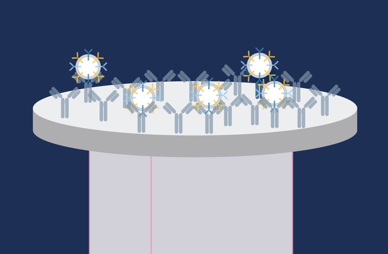Quartz Crystal Microbalance: Next-generation biosensor? | Proteintech Group