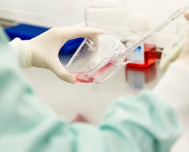 Flow Cytometry Multicolor Panel Design | Proteintech Group