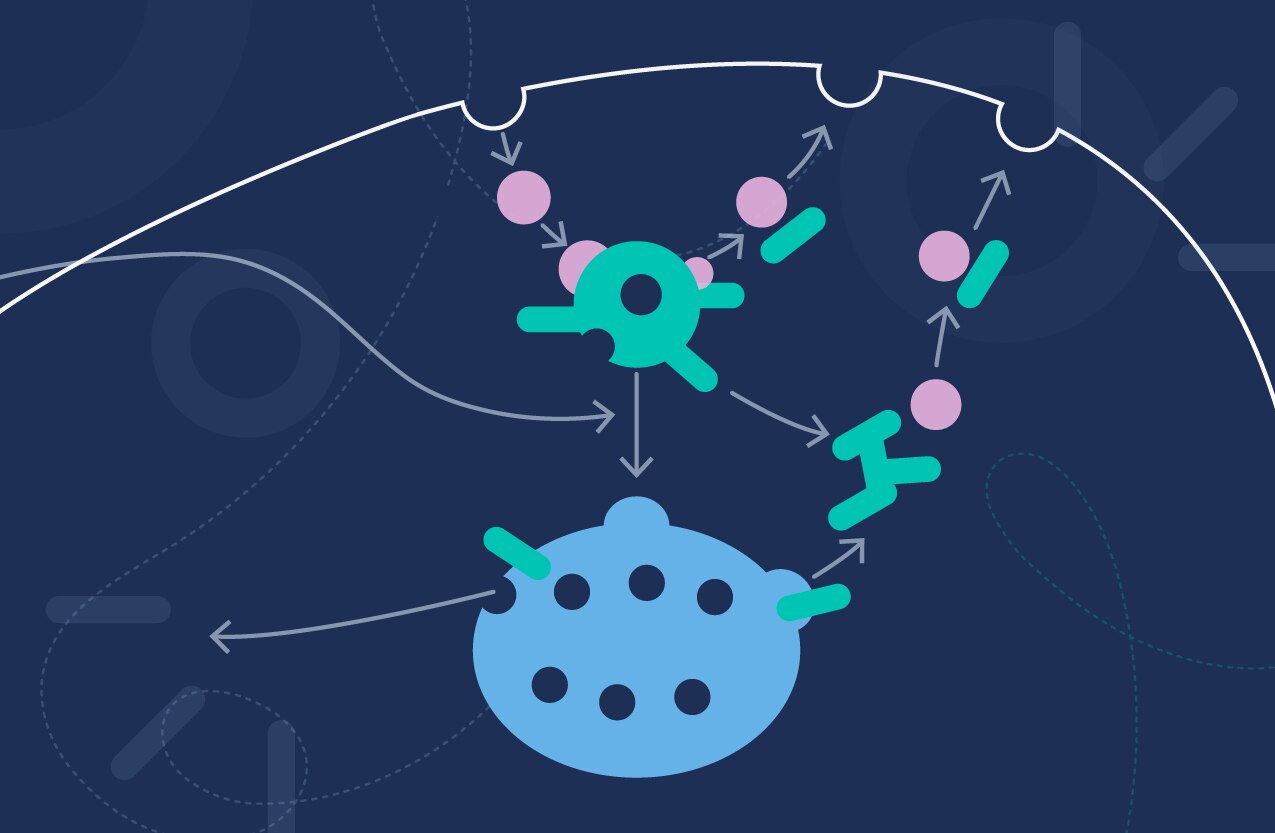 Commanding Endosomal Sorting: The Role of the Commander Complex in ...