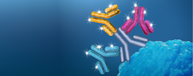 Proteintech launches New Multi-rAb Recombinant Secondary Antibodies | Proteintech Group
