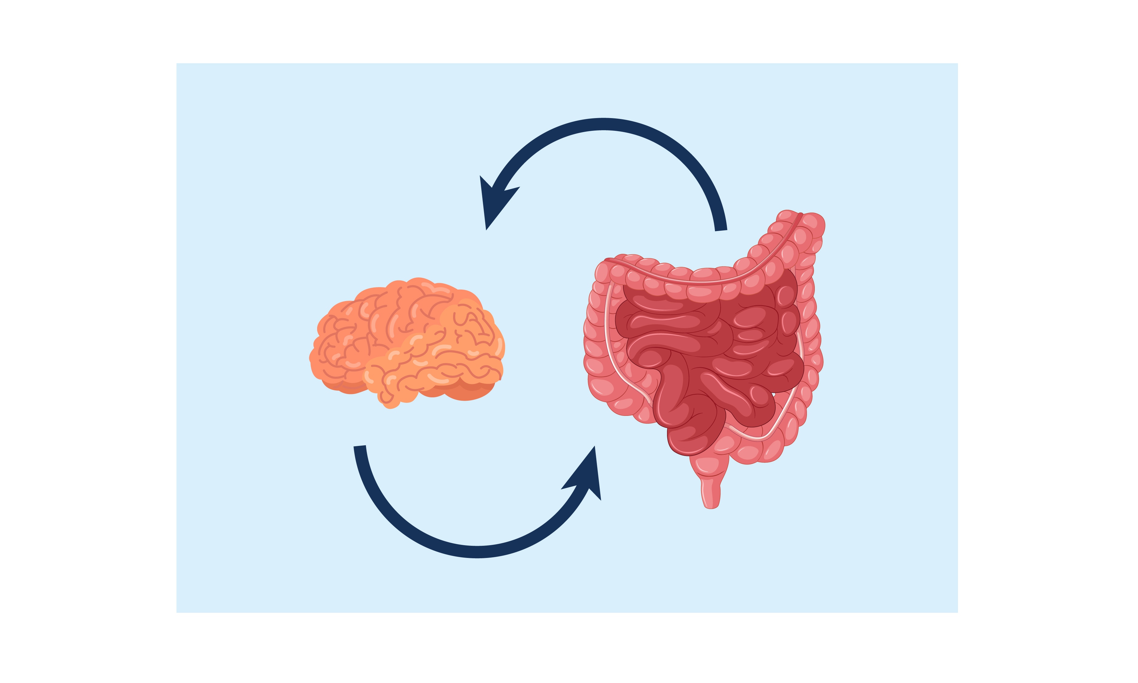 Guardians of the gut: Gamma-delta T cells and their emerging role in ...
