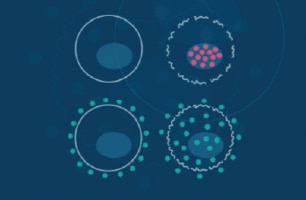 To dye or not to dye? Understanding the different viability dyes ...