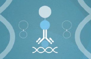 7 Tech Tips For Successful ChIP Experiments | Proteintech Group