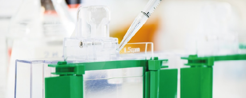 Western Blot Workshop: Lysate Preparation | Proteintech Group