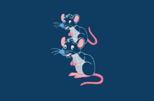 Mouse-on-mouse for Immunohistochemistry: tips and tricks | Proteintech ...