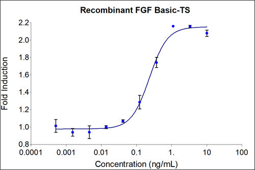 FGF Basic TS | Proteintech Group