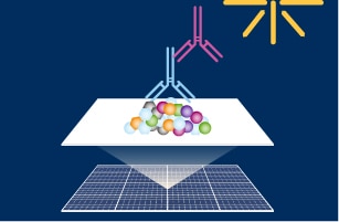 Reverse Phase Protein Array – a high throughput proteomic tool ...