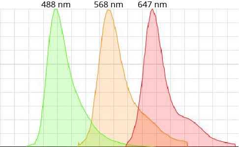 GFP and RFP-Booster for better immunofluorescence imaging | Proteintech ...