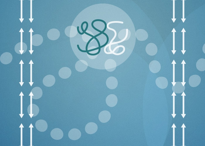 Tips and tricks for successful Mass spec experiments | Proteintech Group