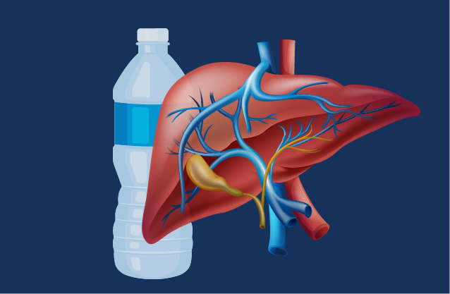 Exposure to microplastics increases risk of liver fibrosis ...