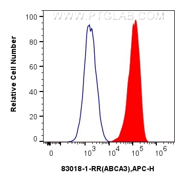 ABCA3 antibody (83018-1-PBS) | Proteintech