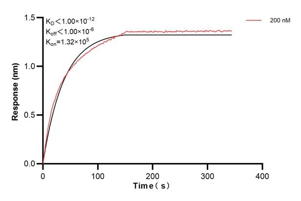 TNFAIP8 antibody (67737-3-PBS) | Proteintech