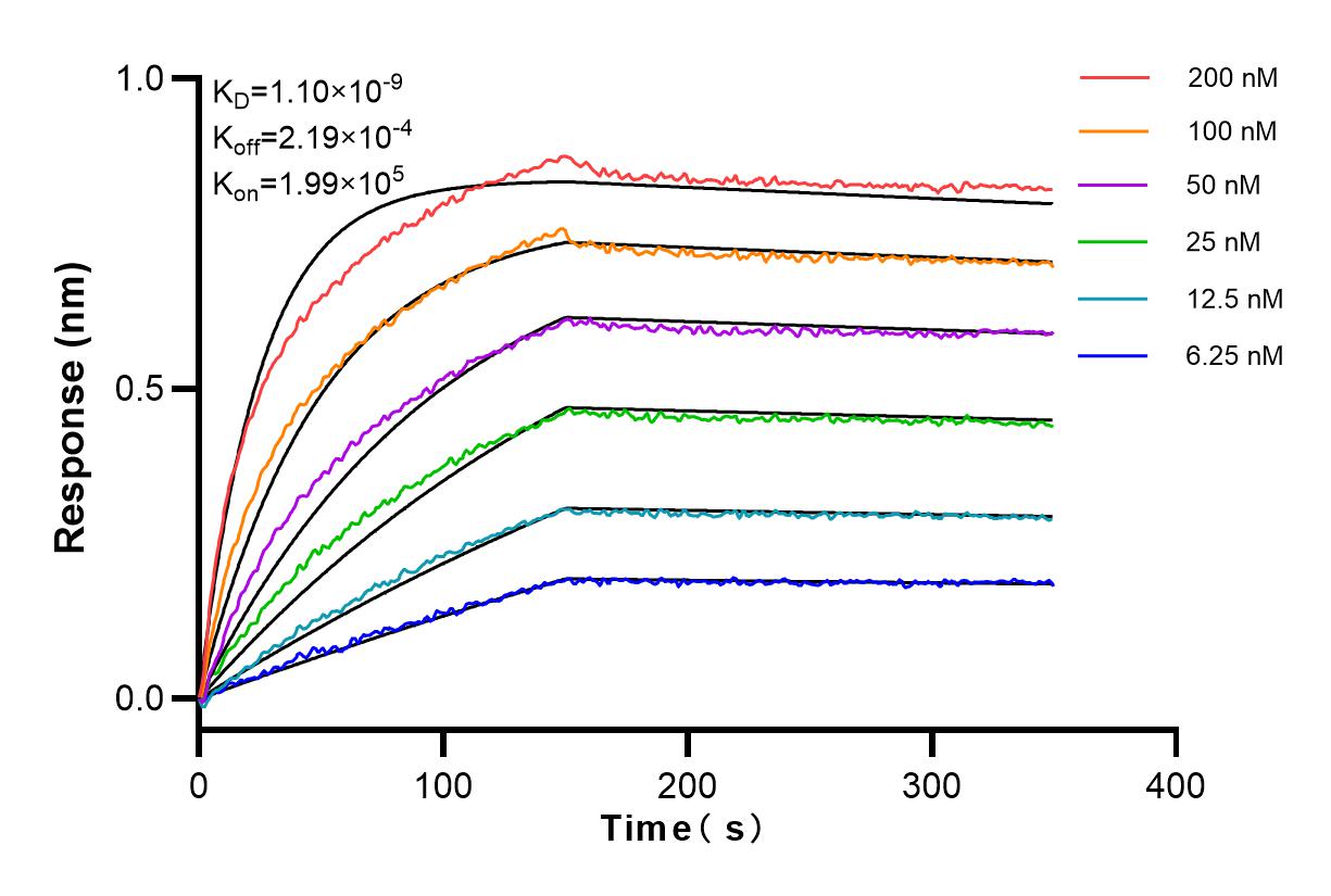 CD45 antibody (83396-11-RR) | Proteintech