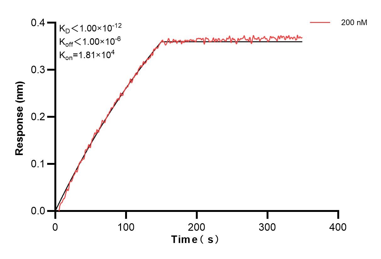 CNTNAP2 antibody (85116-2-PBS) | Proteintech