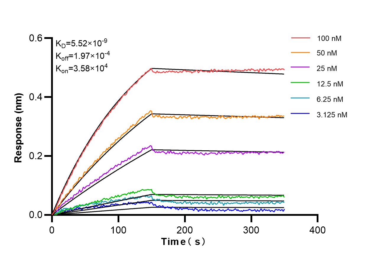 TNFSF11/RANKL antibody (85321-2-RR) | Proteintech