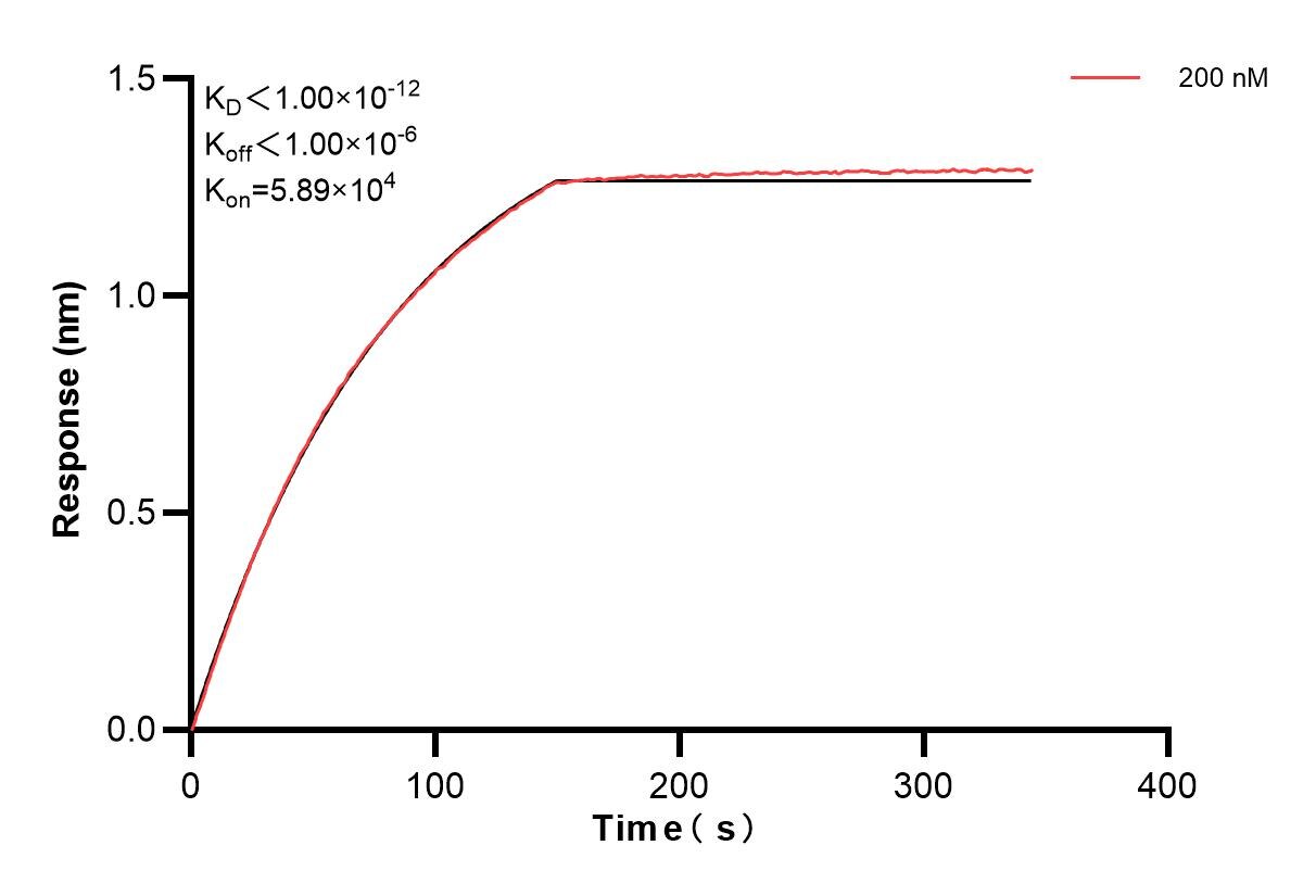 INPP5A antibody (86001-2-PBS) | Proteintech