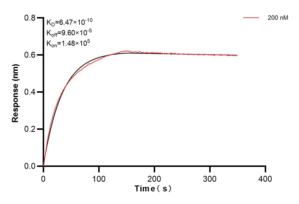 CD4 antibody (86300-4-PBS) | Proteintech
